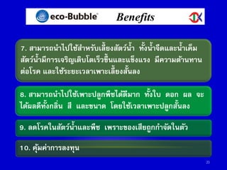 Micro-Nano Bubbles Generator (eco-Bubble®) (Some in Thai Language) | PPT