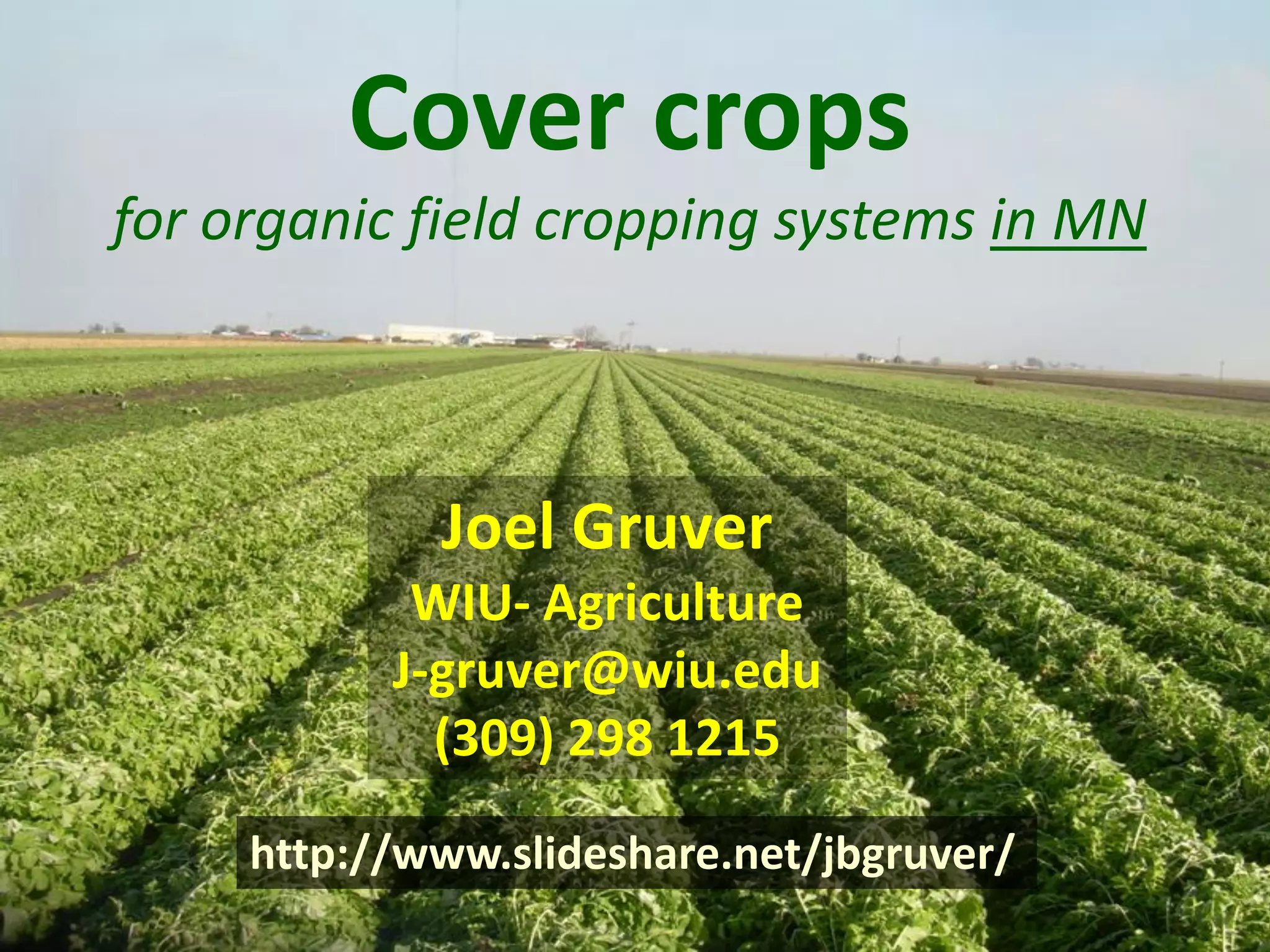 Cover crops for organic field crops in MN | PDF