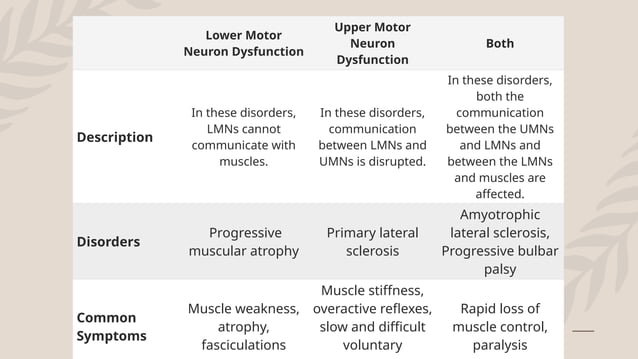 MOTOR NEURON DISEASE/MND.pptpresentation | PPTX | Physical Therapy ...