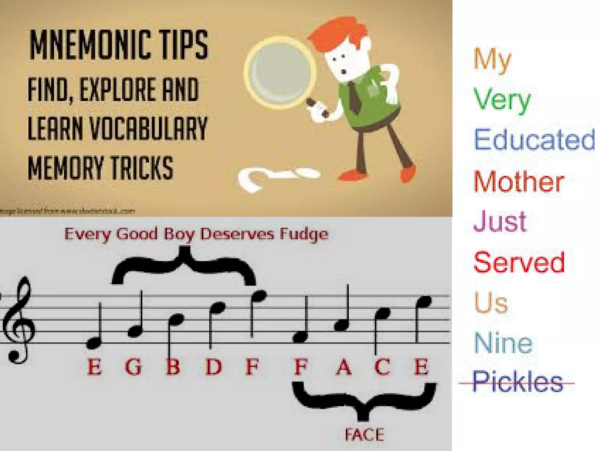 Mnemonic | PPT