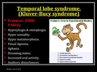 Mnemonics | PPT