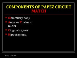Mnemonics | PPT