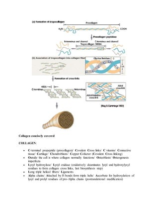 Mnemonics biochemistry carbohydrates | DOCX