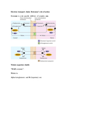 Mnemonics biochemistry carbohydrates | DOCX