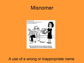 Nom-, Nym Mnemonics | PPT