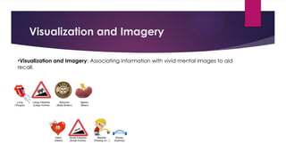Mnemonics - MEMORY TOOL. Understanding Mnemonics and its uses. | PPT