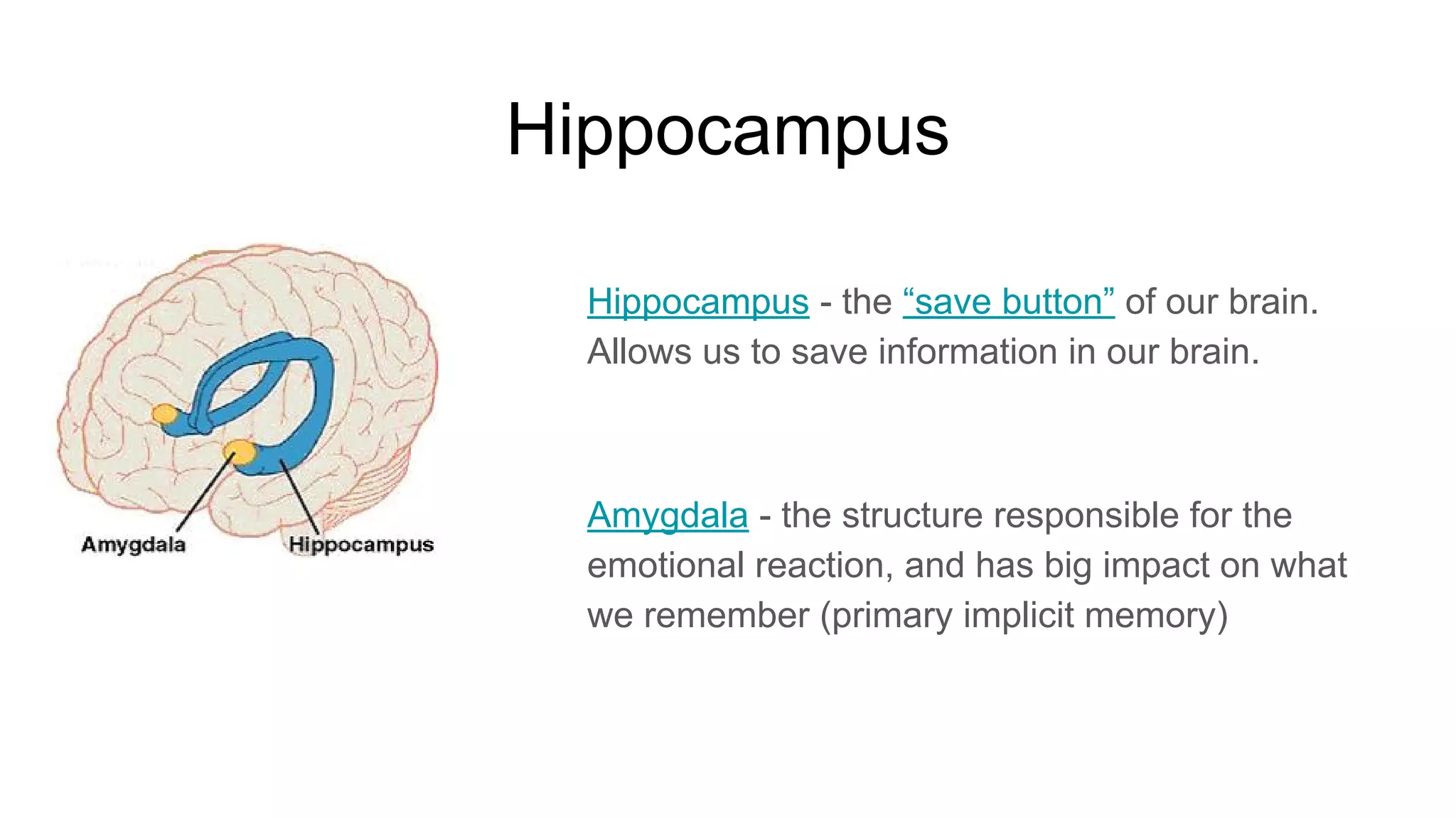Mnemotechnics from neuroscience point of view | PDF