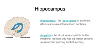 Mnemotechnics from neuroscience point of view | PDF