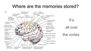 Mnemotechnics from neuroscience point of view | PDF