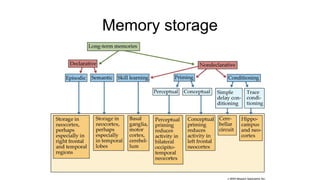 Mnemotechnics from neuroscience point of view | PDF