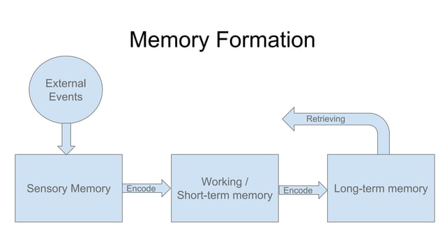 Mnemotechnics from neuroscience point of view | PPT | Free Download