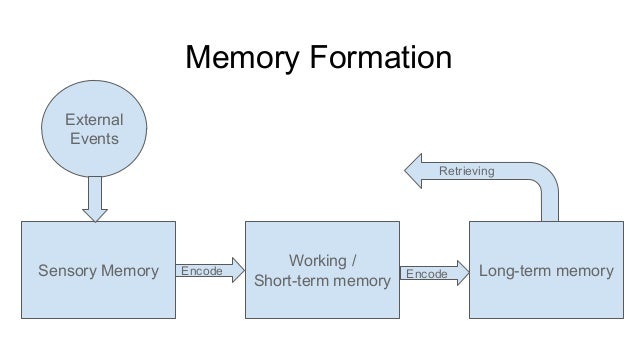Mnemotechnics from neuroscience point of view