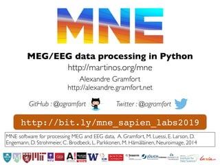 MNE sapien labs 2019 | PPT