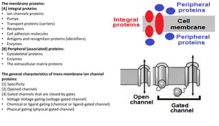 M & N For Medical Physics.pptx