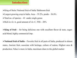 PRODUCTION TECHNOLOGY OF MANGO | PPTX