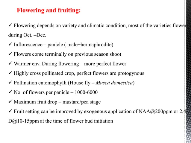 PRODUCTION TECHNOLOGY OF MANGO | PPTX | Agriculture | Industries