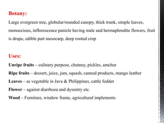 PRODUCTION TECHNOLOGY OF MANGO | PPTX