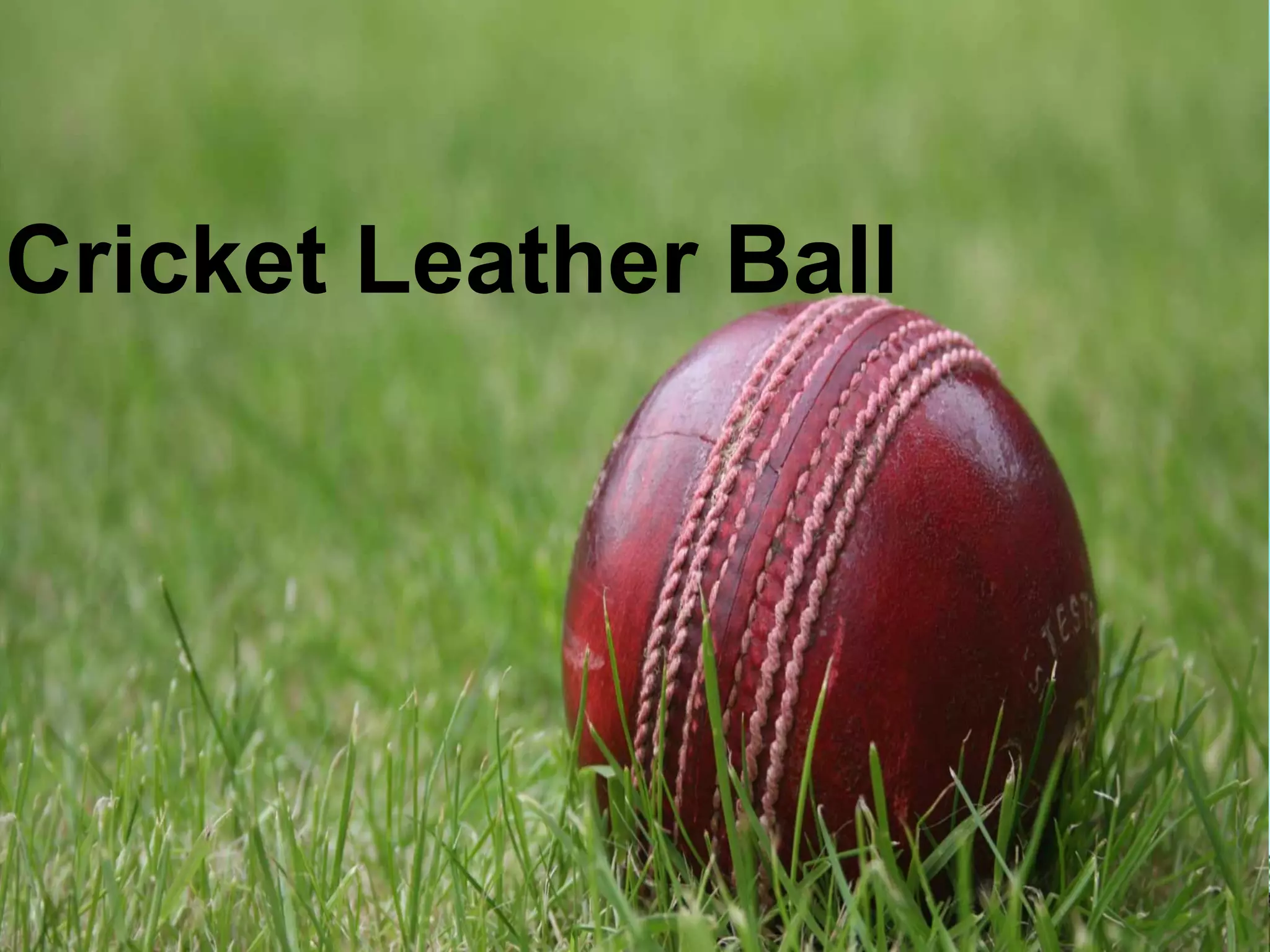 How Cricket Leather Balls Are Made | PPT