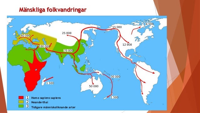 Människans utveckling pp