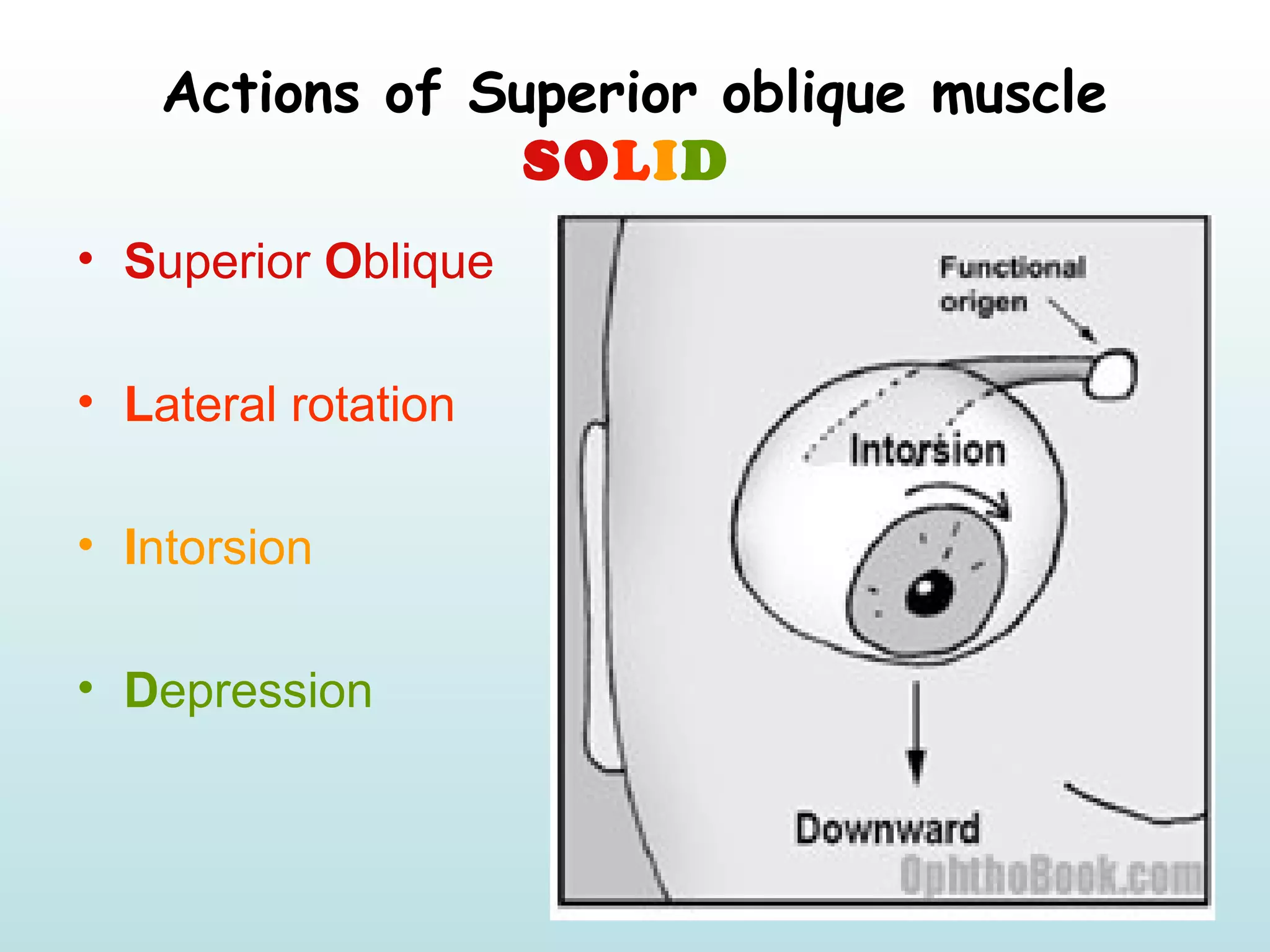 Mnemonics of Ophthalmology | PPT