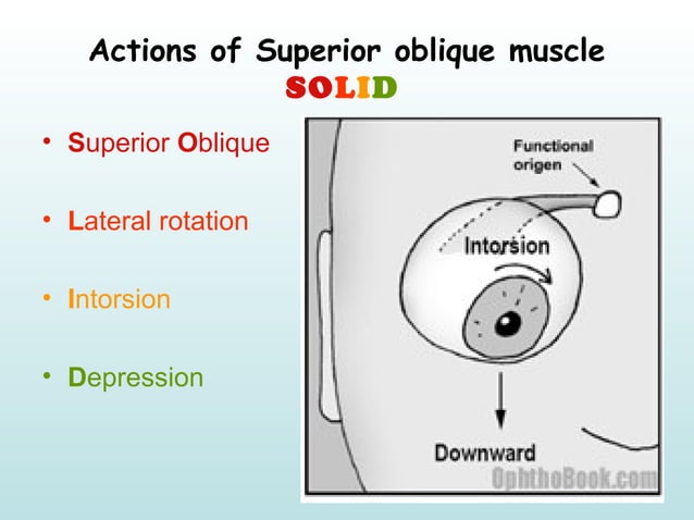 Mnemonics of Ophthalmology | PPT
