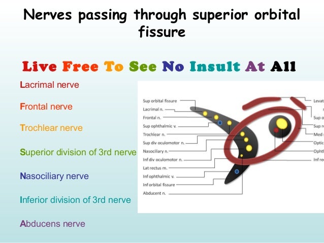 Mnemonics of Ophthalmology