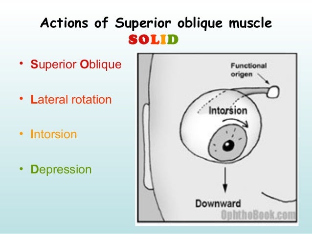 Mnemonics of Ophthalmology