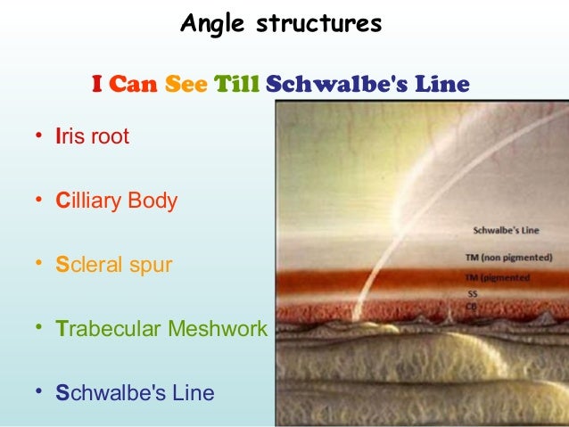 Mnemonics of Ophthalmology