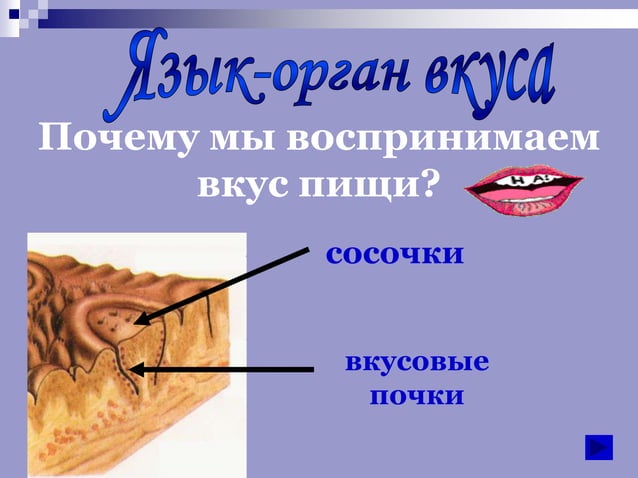 Mnogogranny mir chuvstv | PPT