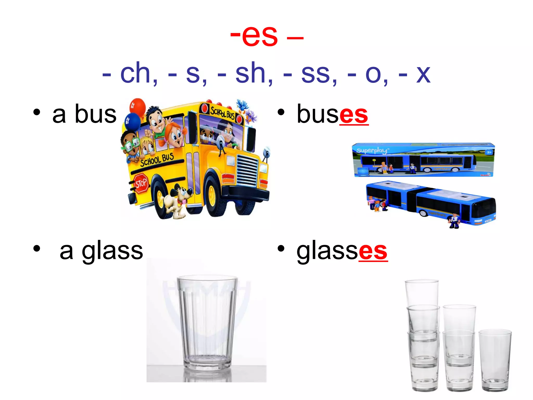 Mnozhestvennoe chislo | PPT