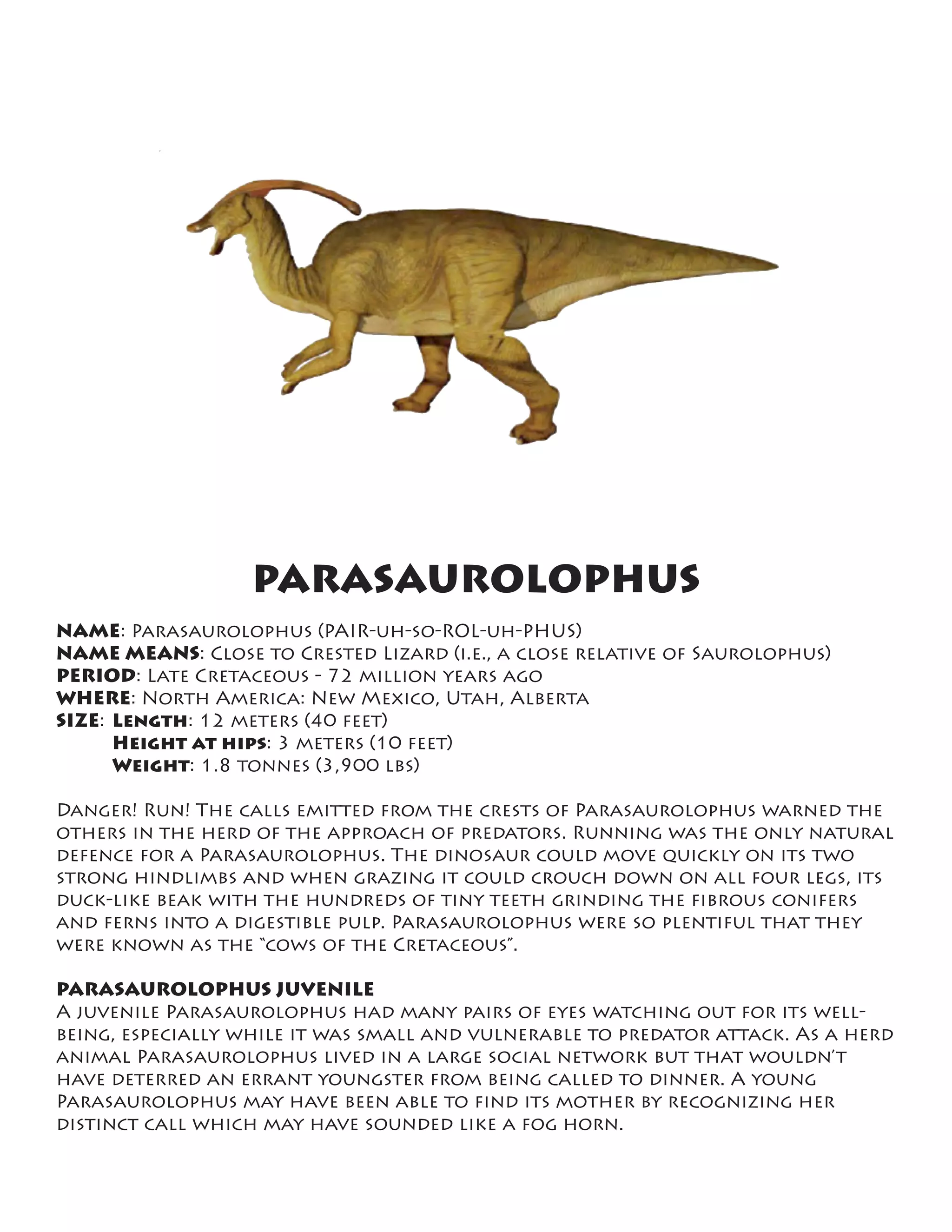 Dinosaurs Unearthed Bios | PDF | Large Animals | Pets