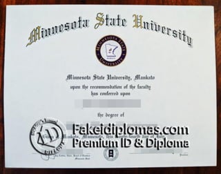 MNSU diploma | PDF