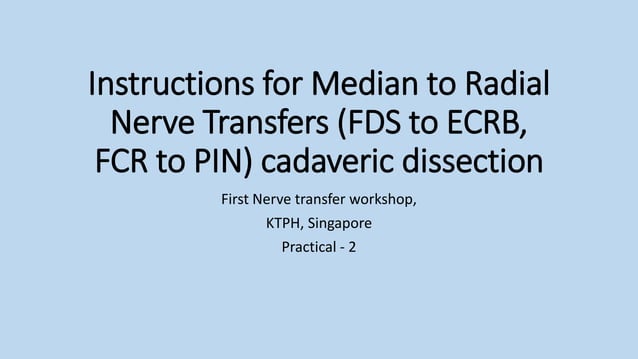 Median to Radial Nerve Transfers (FDS to ECRB, FCR to PIN) cadaveric ...