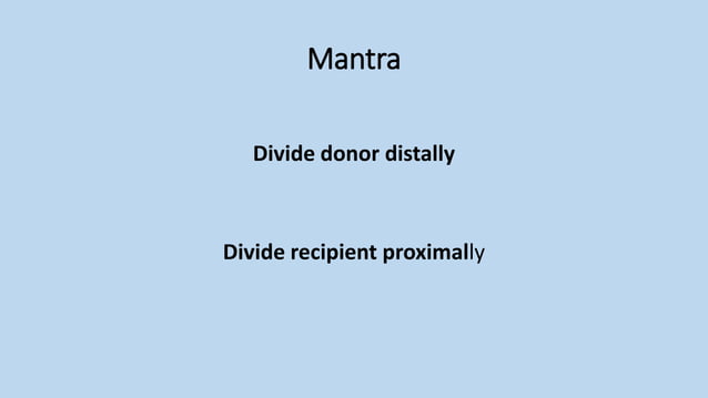 Median to Radial Nerve Transfers (FDS to ECRB, FCR to PIN) cadaveric ...