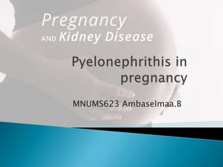 pyelonephritis in pregnancy | PPTX