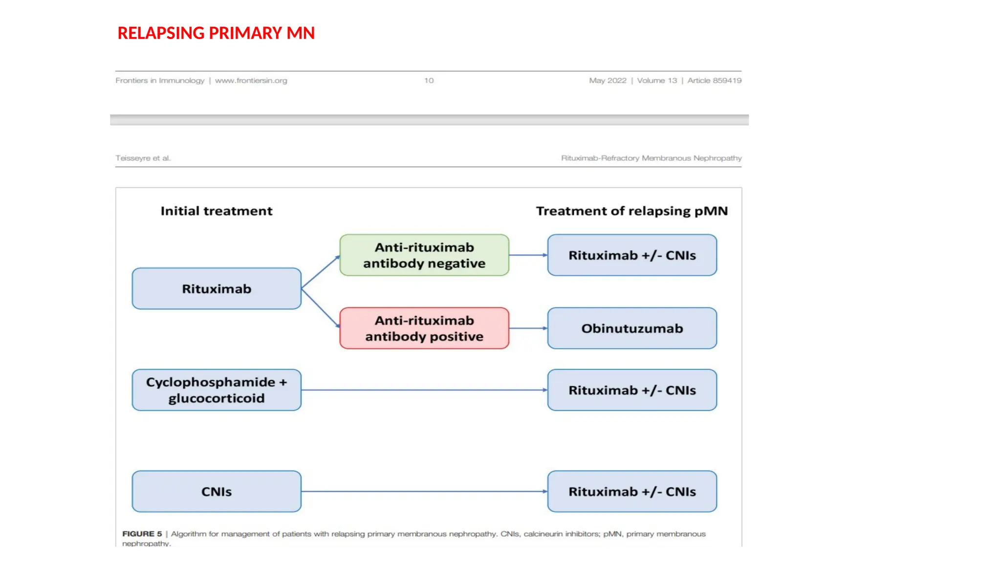 Adult onset nephro syndrome................ | PPT