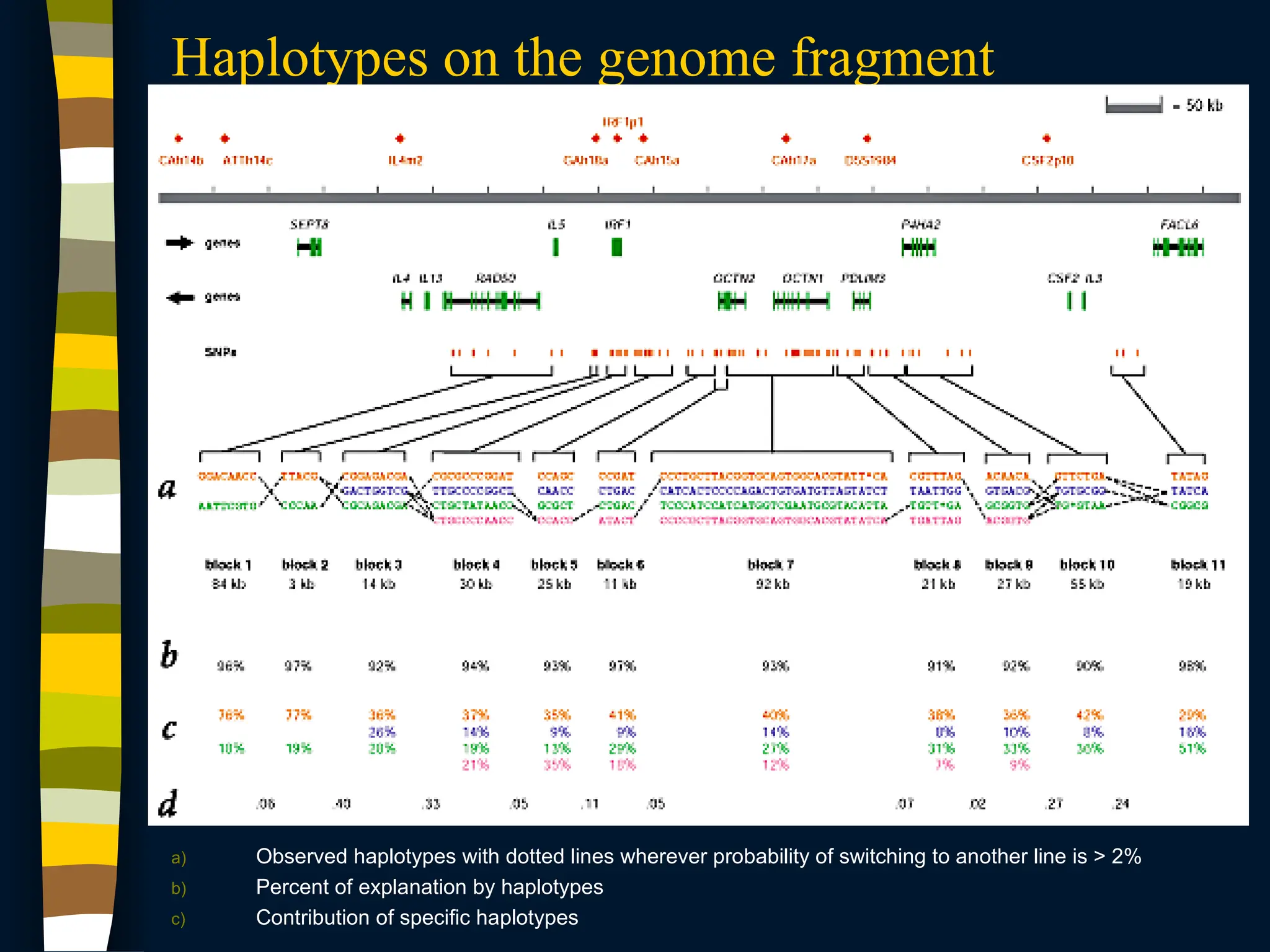 somatic vs germline and genetics vs genomics | PPT