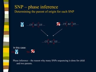 somatic vs germline and genetics vs genomics | PPT