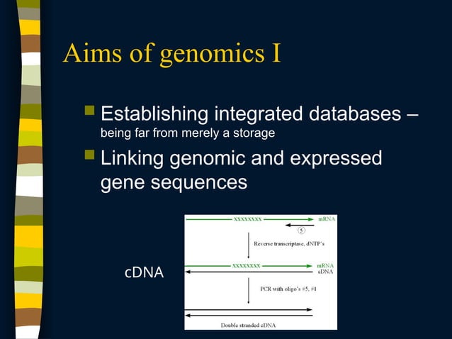 somatic vs germline and genetics vs genomics | PPT