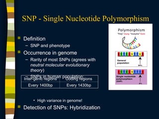 somatic vs germline and genetics vs genomics | PPT
