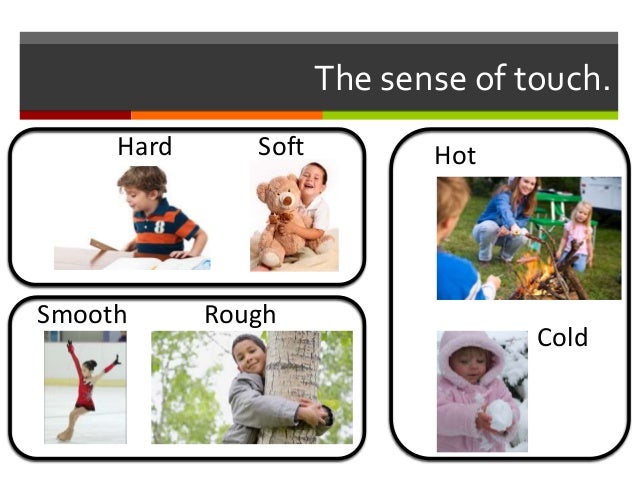 My senses. 1st grade. Natural Science. CEIP Las Lomas.