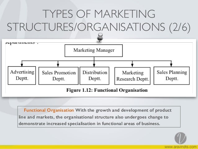 Marketing Organisation