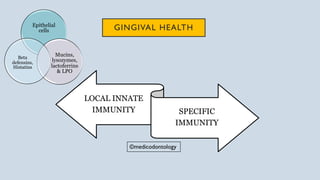 PERIODONTICS- GINGIVAL INFLAMMATION- | PDF