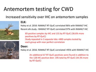 Advantages and Limitations of Amplification Techniques for the ...