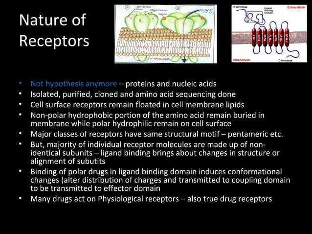mechanism of action of drugs | PPT | Biological Sciences | Science