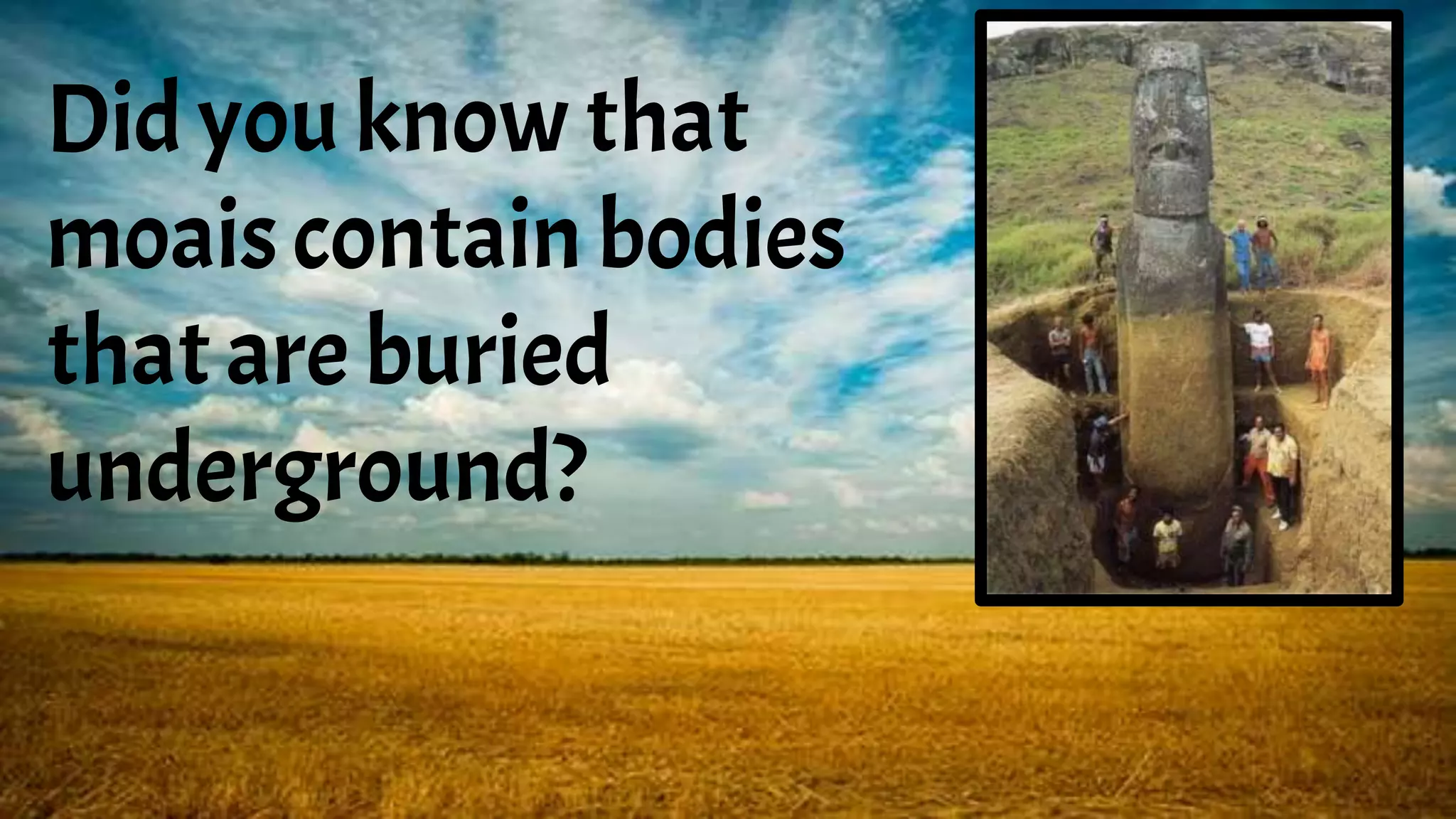 Moai | PPTX