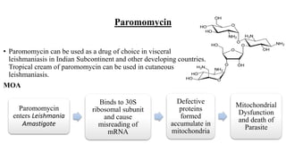 Mechanism of Action of Anti leishmanial Drugs | PDF