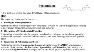 Mechanism of Action of Anti leishmanial Drugs | PDF