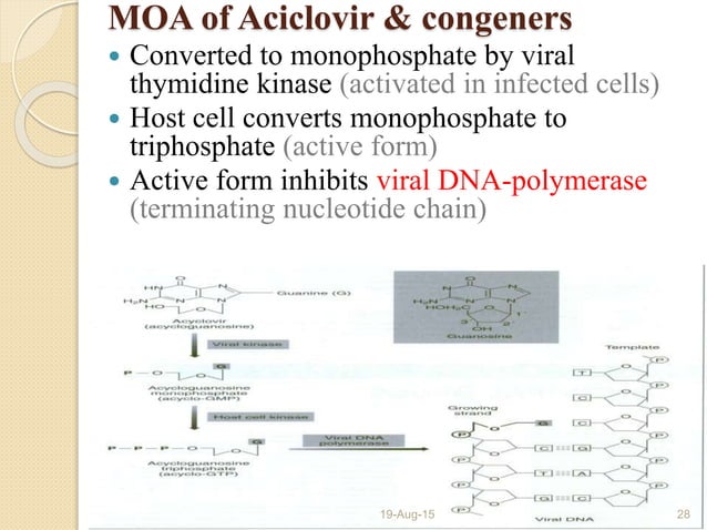 Moa of antimicrobials | PPTX