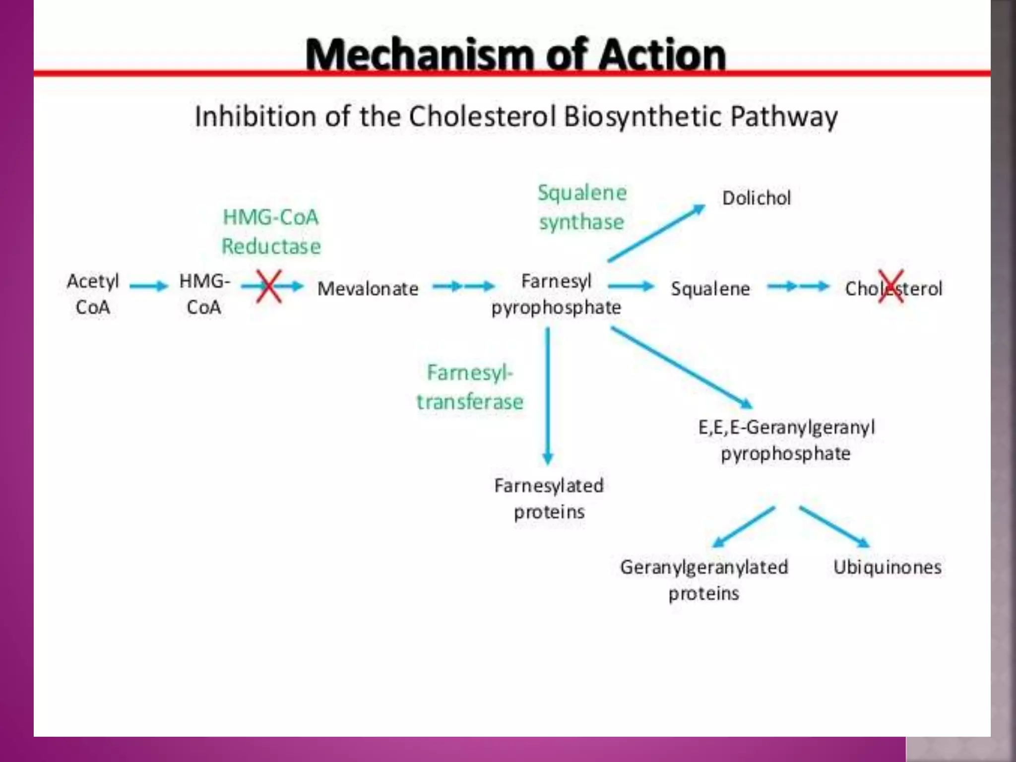 CVS PHARMACOLOGY AND-MOA of drugs in organ system pharmacology | PPT